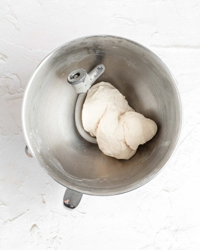 How to Make Homemade Mini Bagels » the practical kitchen