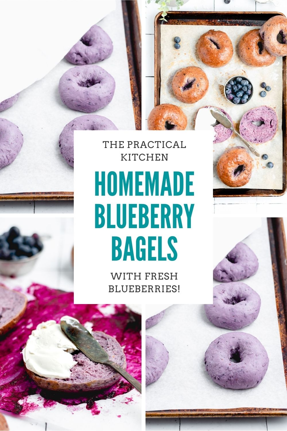 Homemade Chewy Blueberry Bagels » the practical kitchen