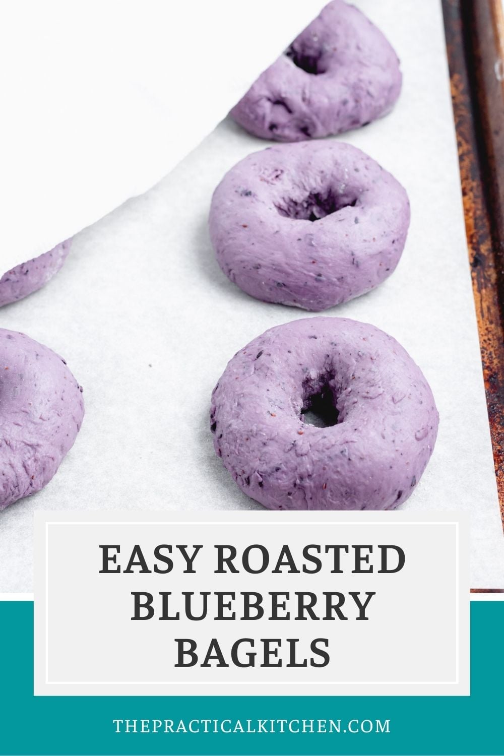 Homemade Chewy Blueberry Bagels » the practical kitchen
