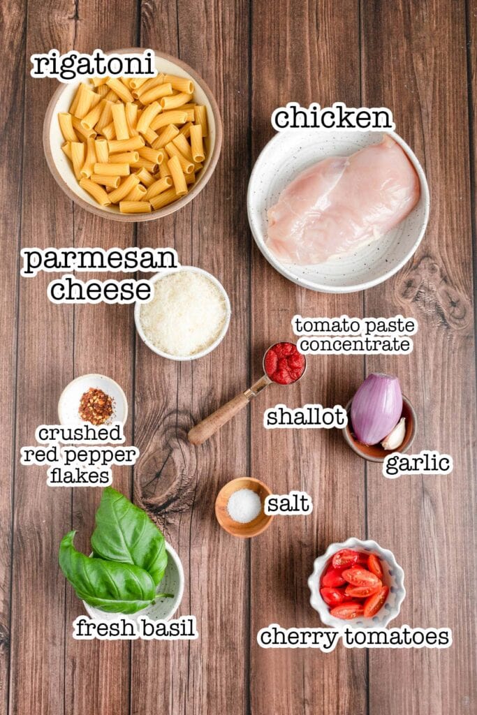 Easy 30-Minute Spicy Chicken Rigatoni Pasta » the practical kitchen