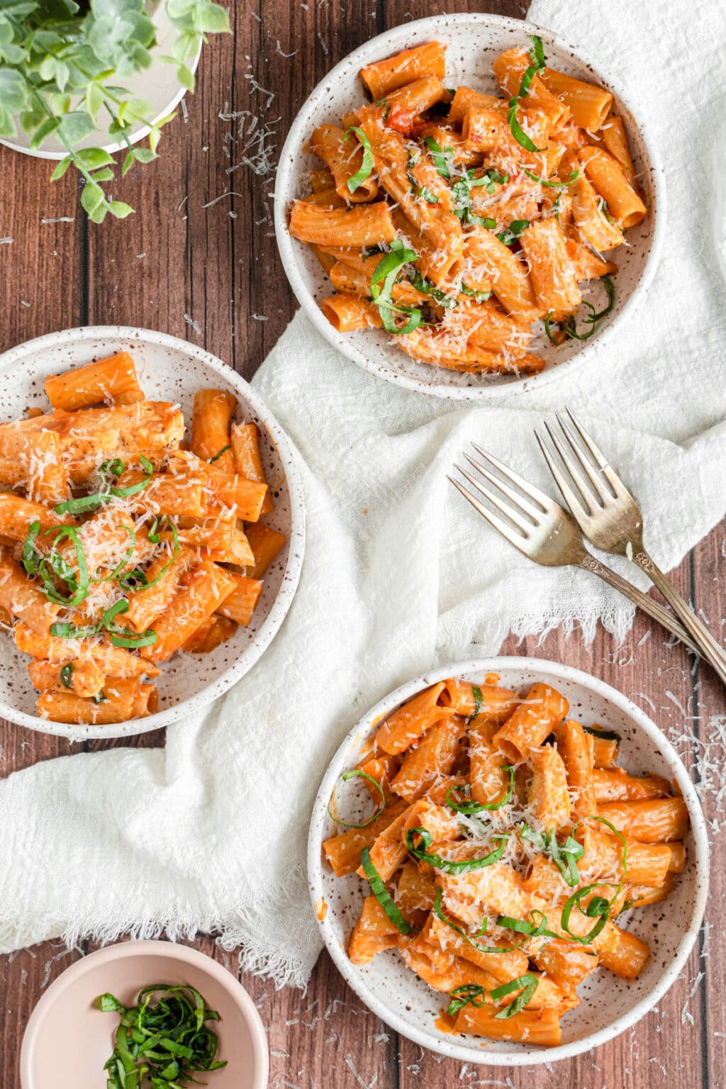 Easy 30-Minute Spicy Chicken Rigatoni Pasta » the practical kitchen