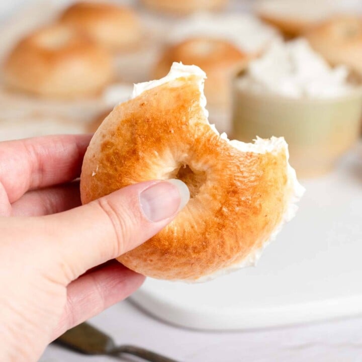 How to Make Homemade Mini Bagels » the practical kitchen