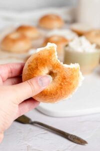 How to Make Homemade Mini Bagels » the practical kitchen