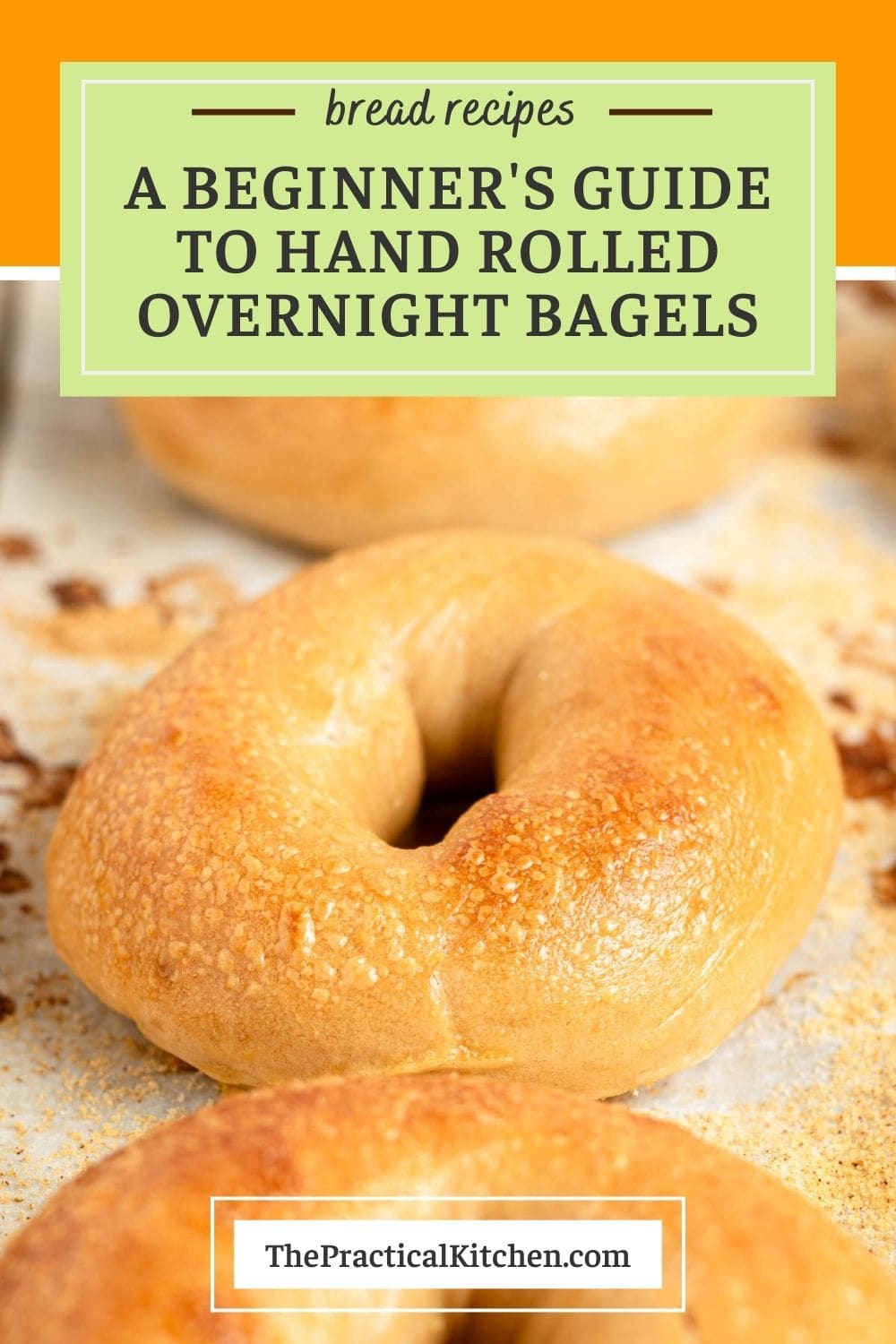 Hand-Rolled New York-Style Bagels (Overnight Recipe) For Beginners ...