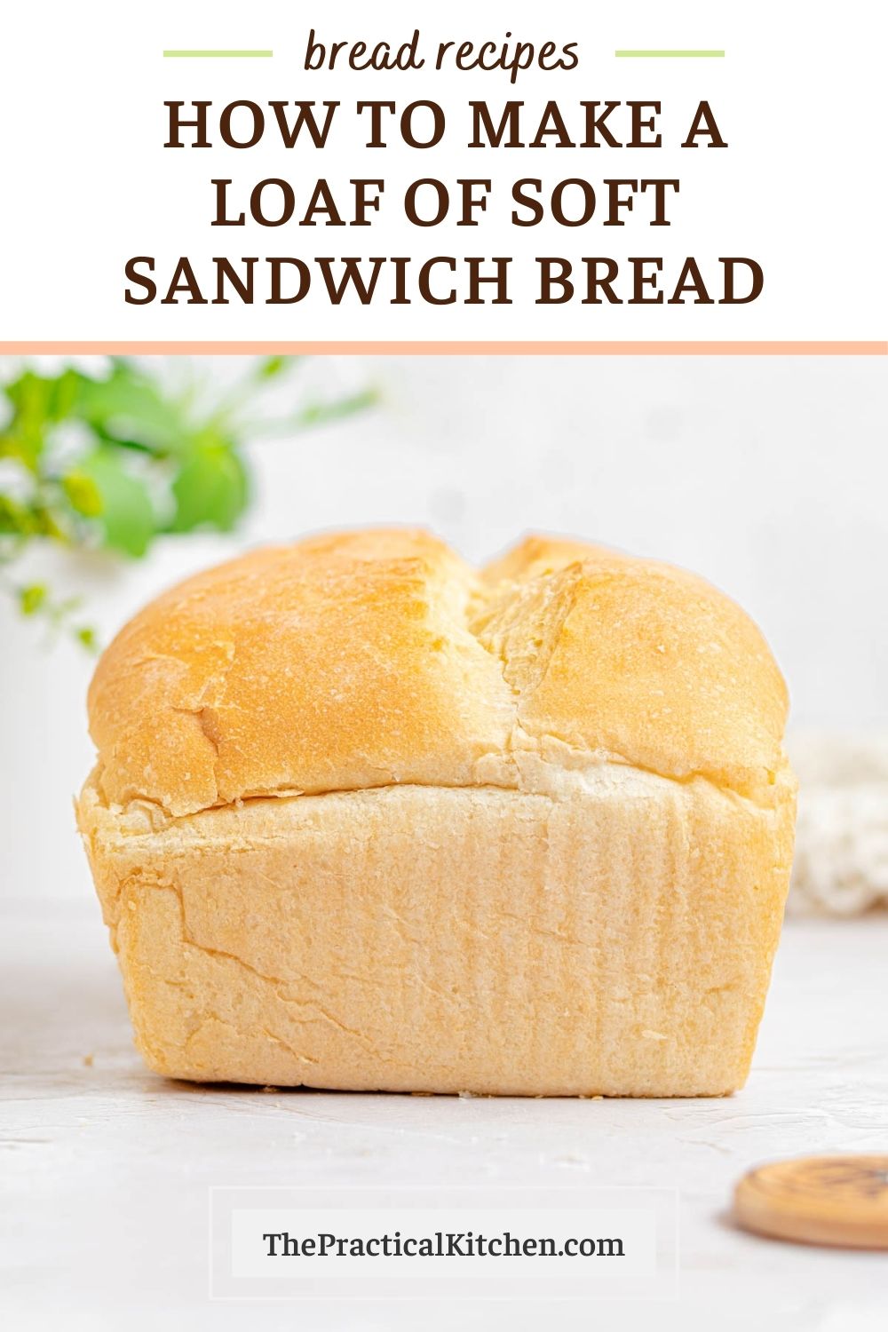 Easy Soft Sandwich Bread in a Loaf Pan (For Beginners) » the practical ...