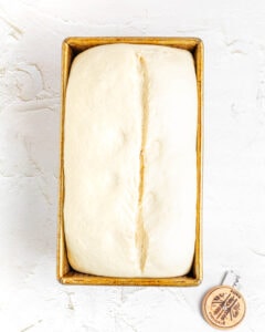 Easy Soft Sandwich Bread in a Loaf Pan (For Beginners) » the practical ...