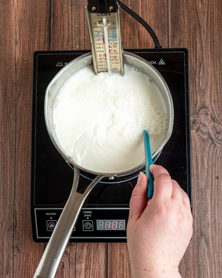 How to Make Homemade Cream Cheese (with Citric Acid) » the practical ...